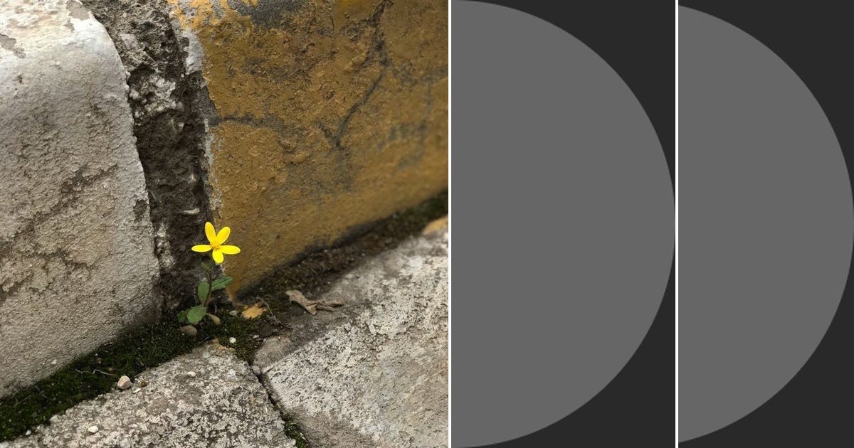 List: autorretratos | Curated by ody cubero | Medium