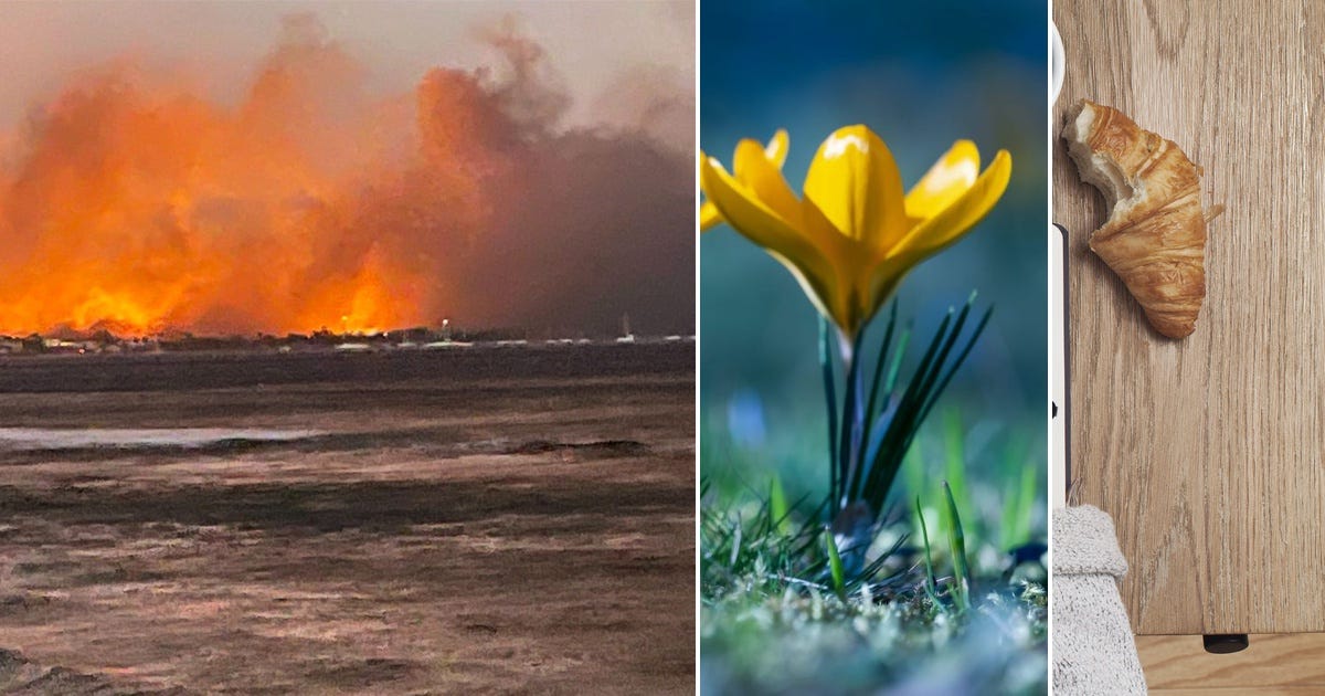 List: Writing Contests 2024 | Curated by Mayhem 62 | Medium