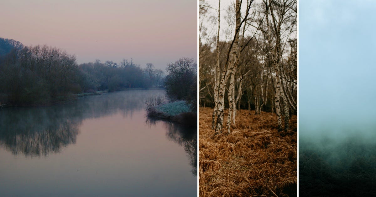 List: My Best Nature Poetry in Scribe | Curated by Caroline Mellor | Medium