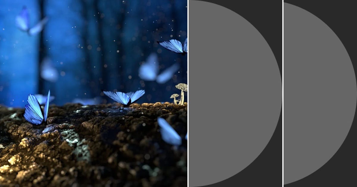 List: ML - Compression | Curated by Wes Melton | Medium