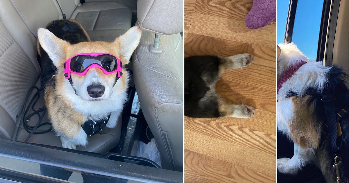 List: Miss Mali Stories | Curated by Michael Rhodes | Medium