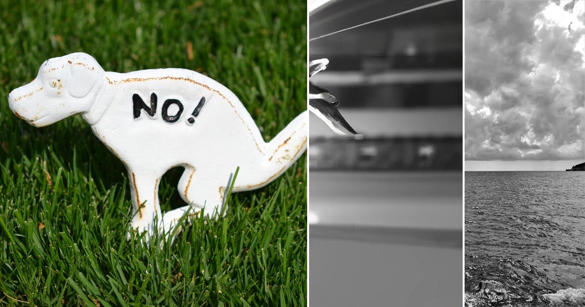 List: An Artist's Eye | Curated by Robbyn | Medium