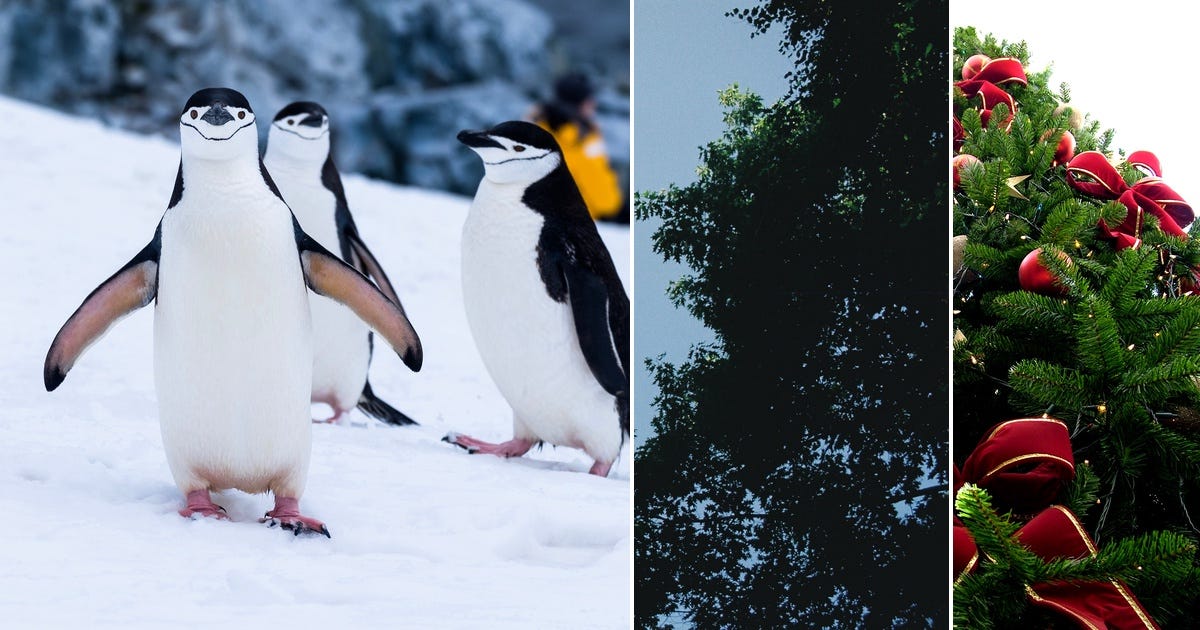 List: NLP | Curated by Tristan Rentz | Medium