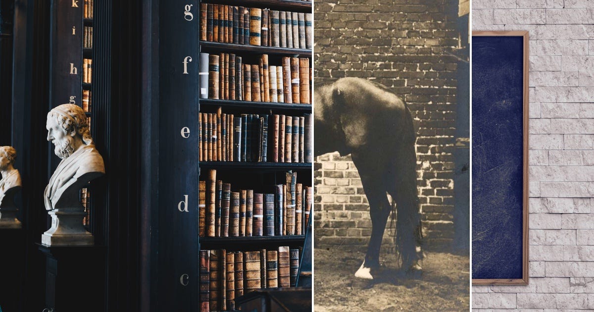 List: The Human Past | Curated by angela l smith | Medium