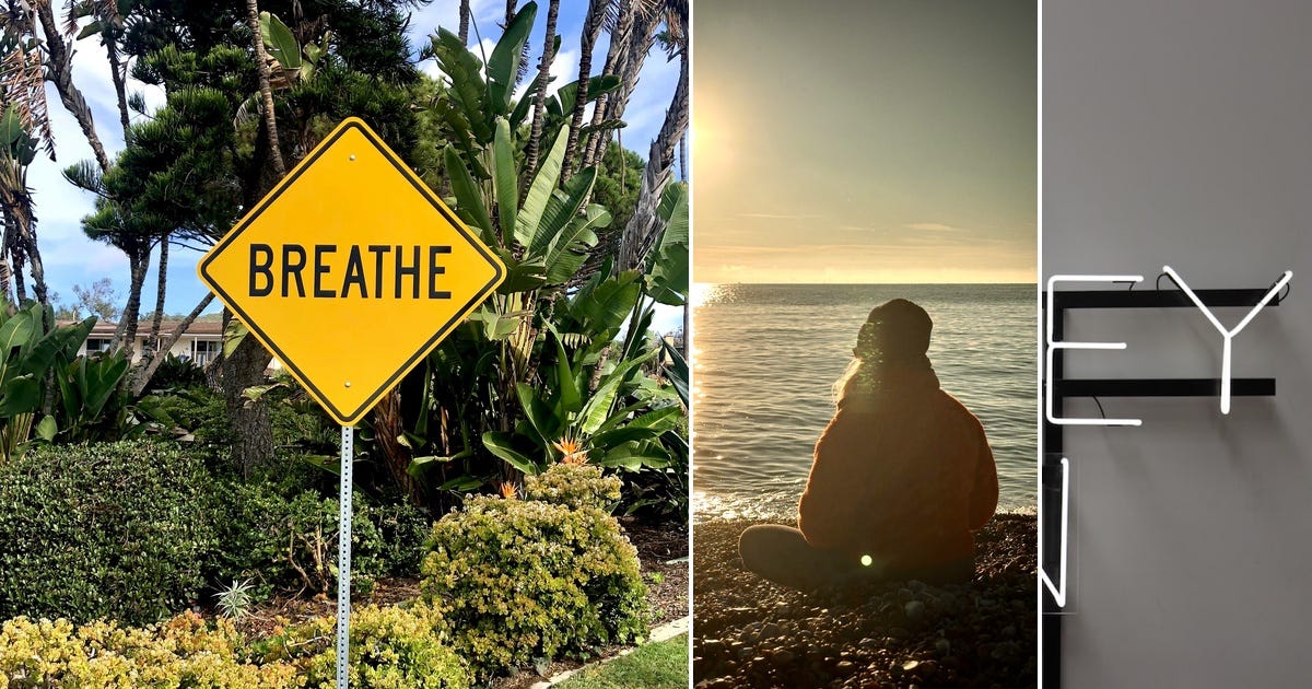 List: Reading list | Curated by Nicola Slade | Medium