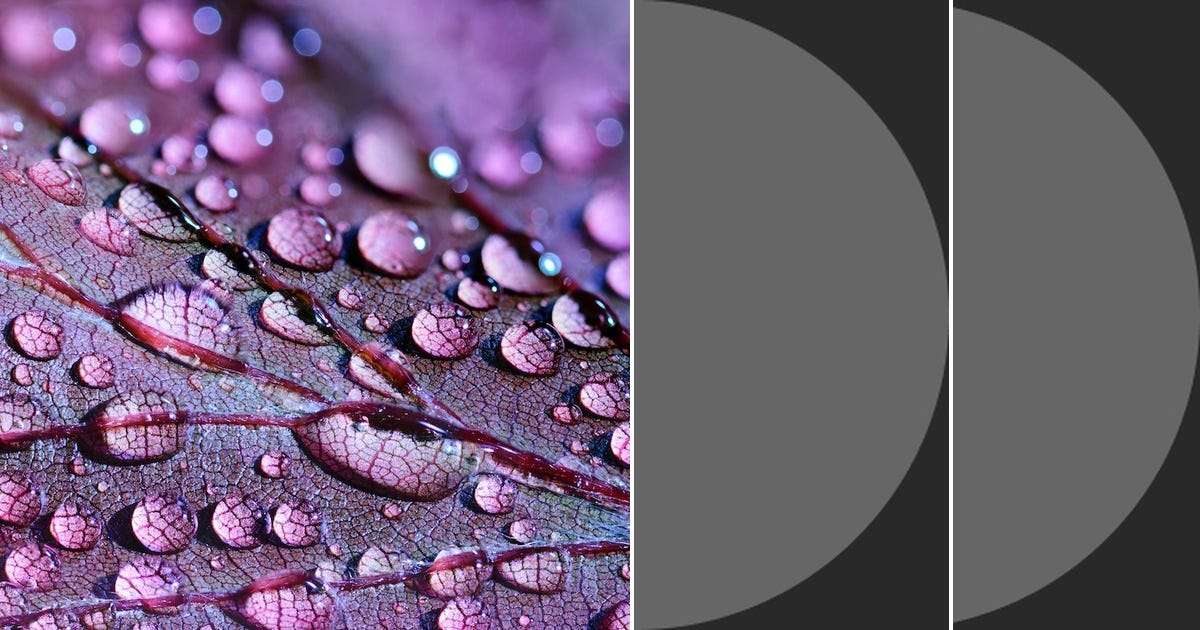 List Causal Discovery Curated By Hugo E Roche Medium