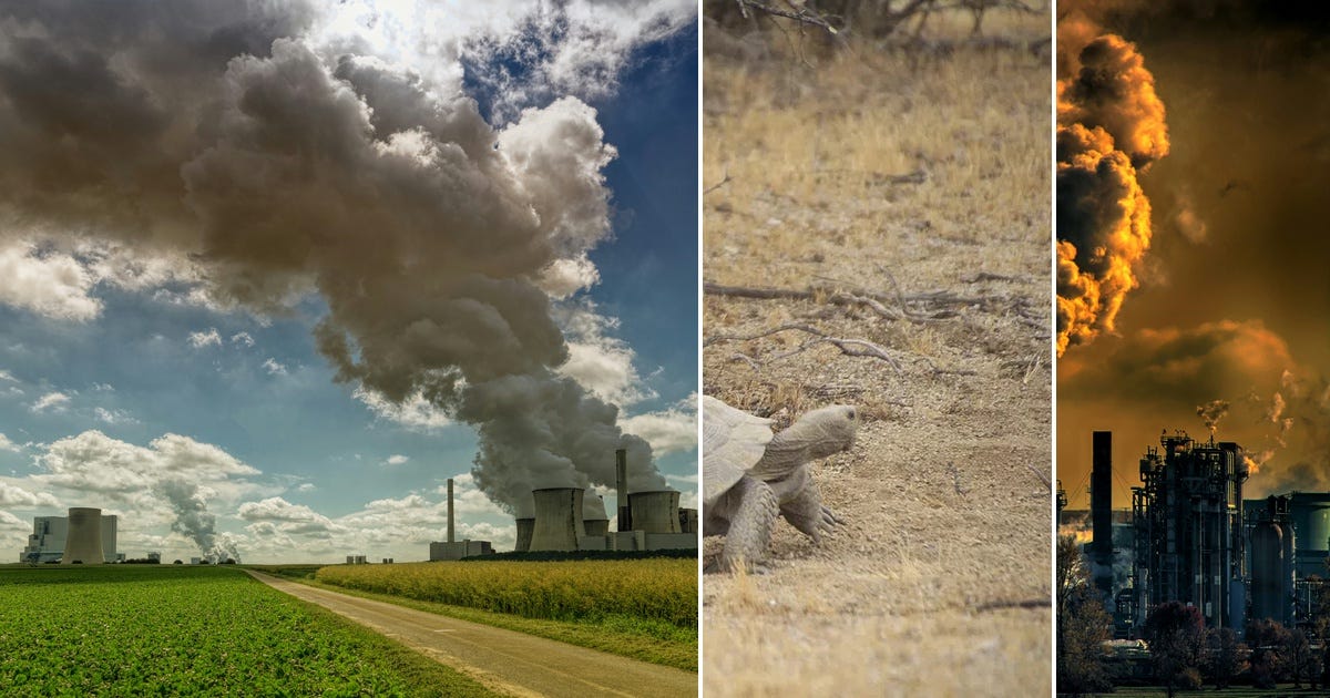 List: Climate change | Curated by Rena Knoepke | Medium