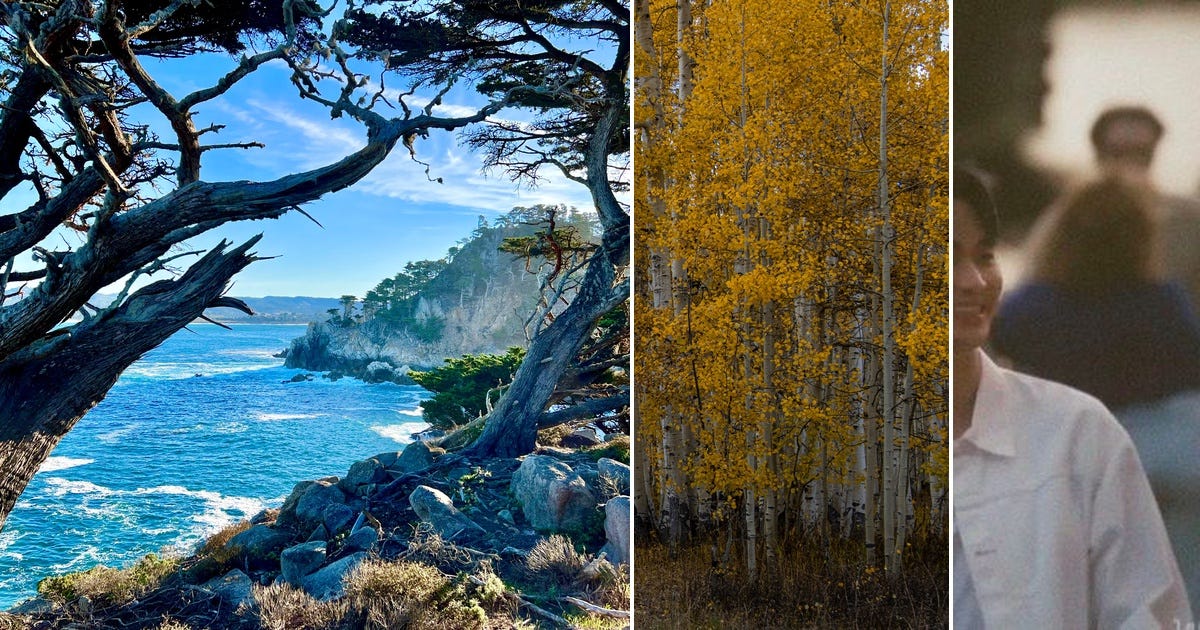 List: Reading list | Curated by Chaitra V Nilogal | Medium