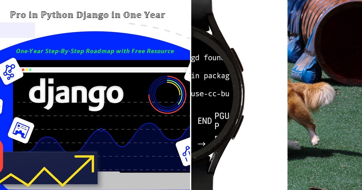 List: Programming | Curated by Alina Bazavan | Backend Developer (Python, Django) | Medium