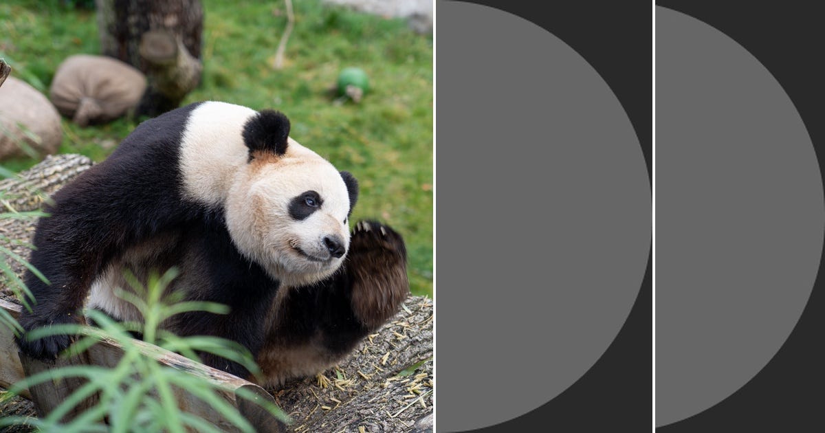 List: Python | Curated by Jovi Lam | Medium