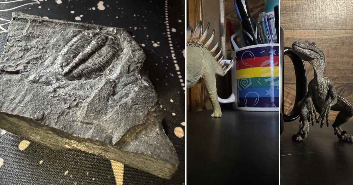 List Fossil Logic Curated By Michael Gene Brockus Dreamer Medium