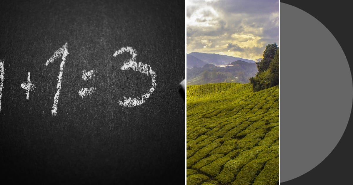 List: Worth reading | Curated by William Cook – Writer | Medium