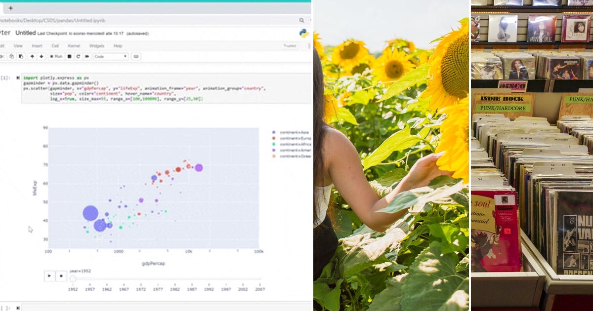 List: Visualization | Curated by Kasragordini | Medium