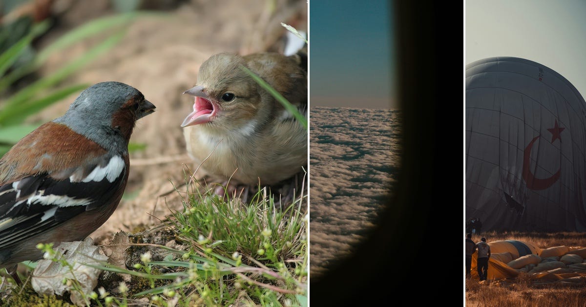 List: Hagia Sophia | Curated by Augustine Koh, Ph.D. | Medium