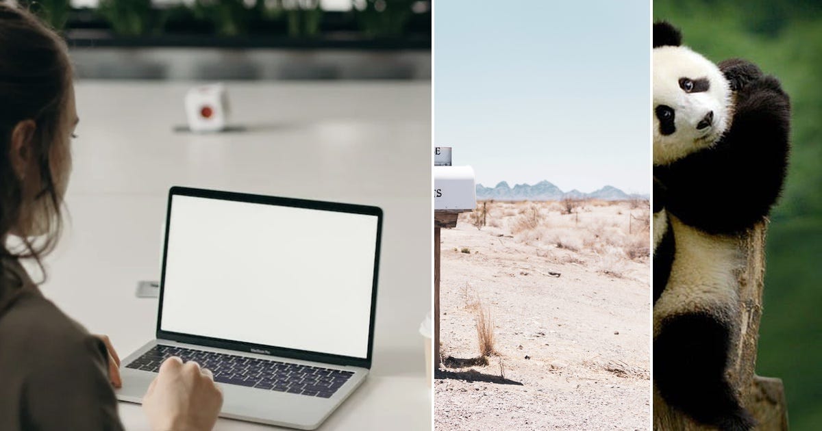 List: Pandas | Curated by Dattatray Suryawanshi | Medium