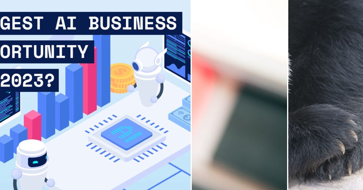 List: Python BIZ Ideas | Curated by Gabriel Palafox | Medium