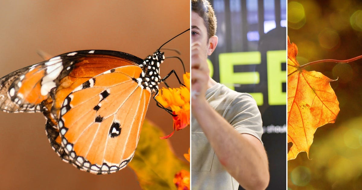 List: Time Series | Curated by Thomas W Willard | Medium