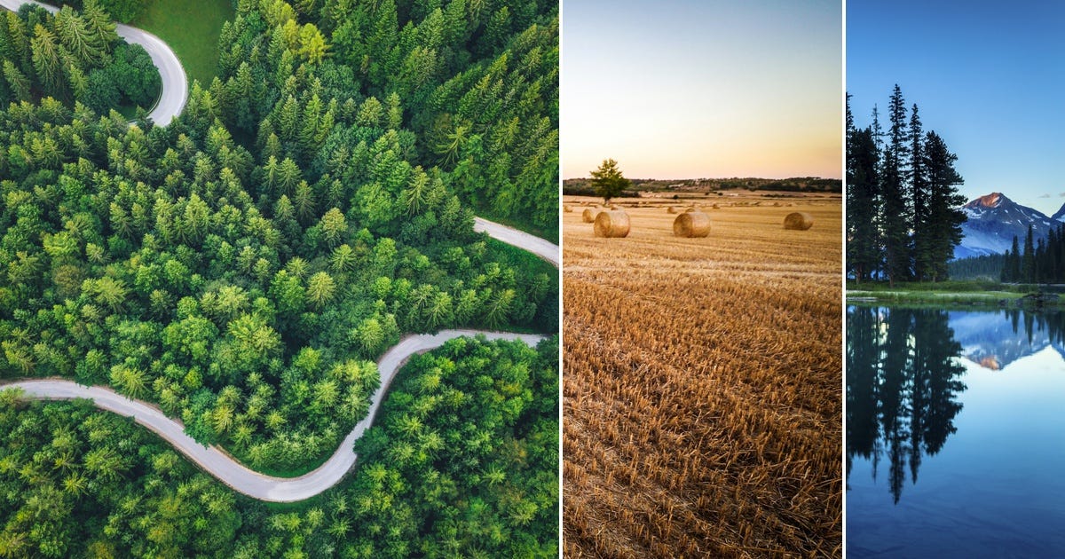 List: Buzzard — Aging | Curated by Okamura Thomas | Medium