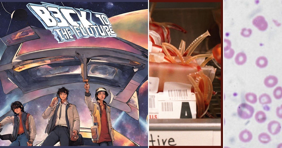 List: Everything You Wanted to know about Blood and Blood Types ...