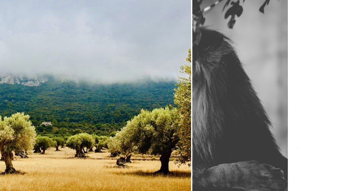 List: פילוספיה | Curated by Nimrod Ryder | Medium