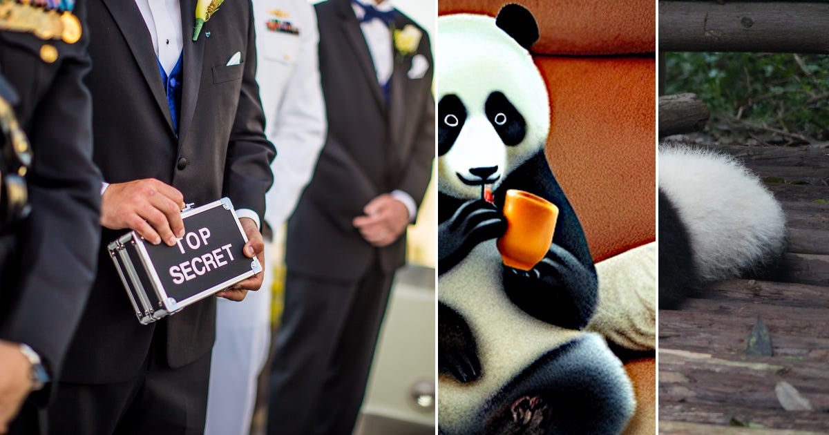 List: Pandas | Curated by victor pablo | Medium