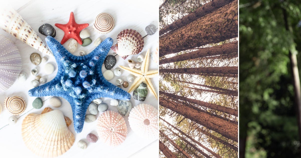 List: Explainable AI | Curated by Vignesh Shankar | Medium