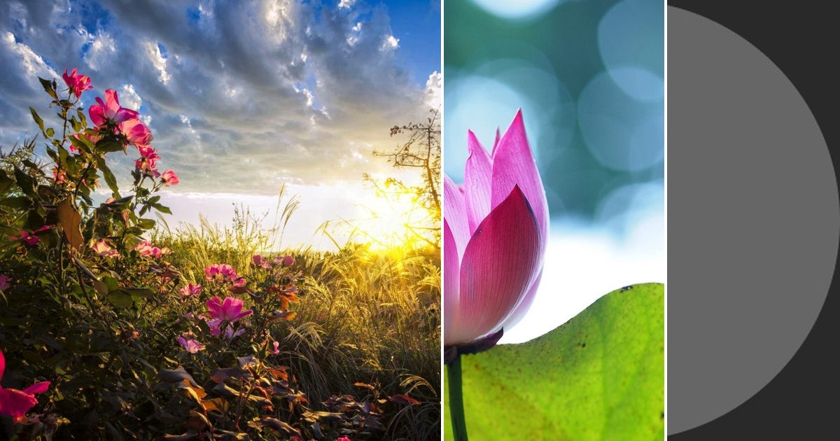 List: Eudaimonics | Curated by Jessica Beveridge | Medium