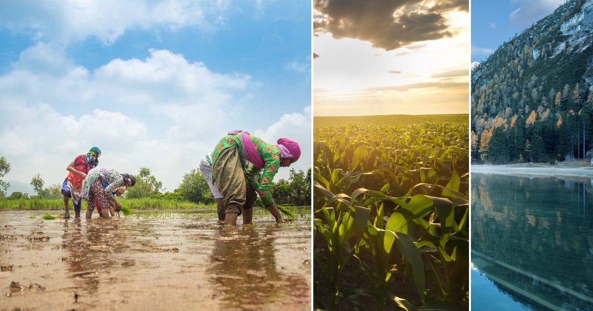 List: Read to Revive the Earth | Curated by Ica | Medium