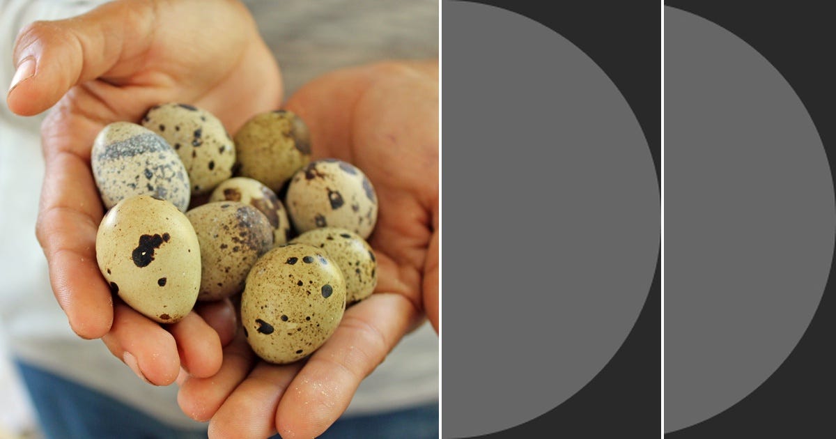 List: Story telling examples | Curated by Martina Mascarenhas | Medium