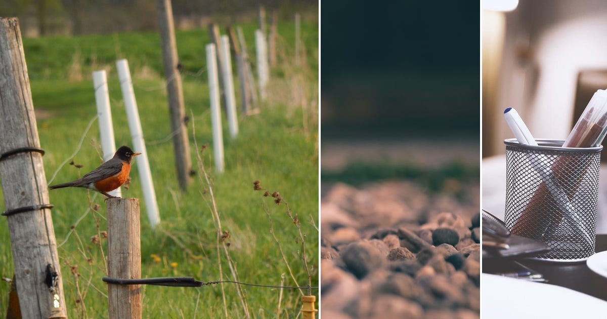 List: Time Series | Curated by Randy Balzer | Medium