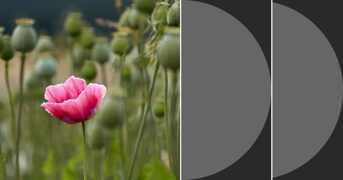 List: Cool Things I've Read | Curated by M. Cole Grady | Medium