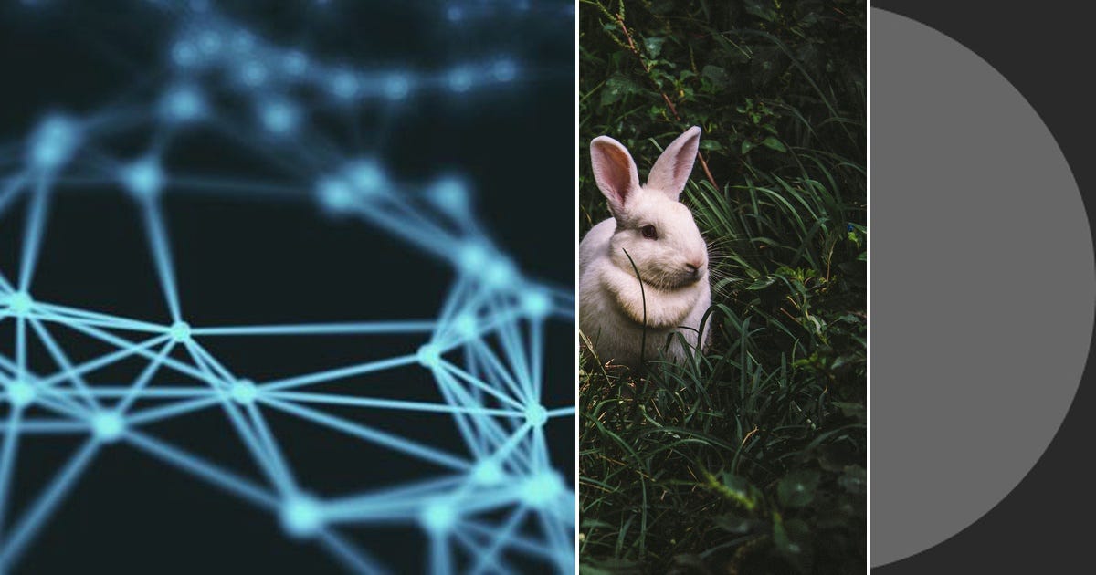 List Backend Curated By Vivek Singh Medium 