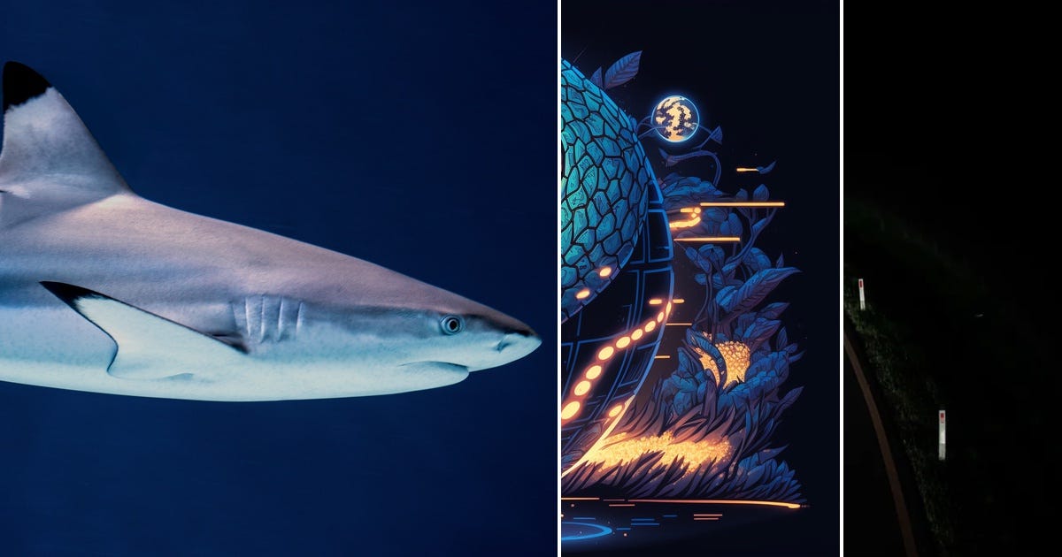 List: Networking | Curated by Kev Barnes | Medium