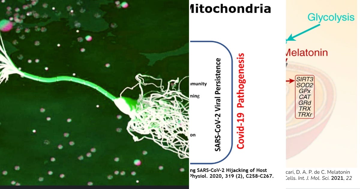 List: Doris | Curated by Traci | Medium