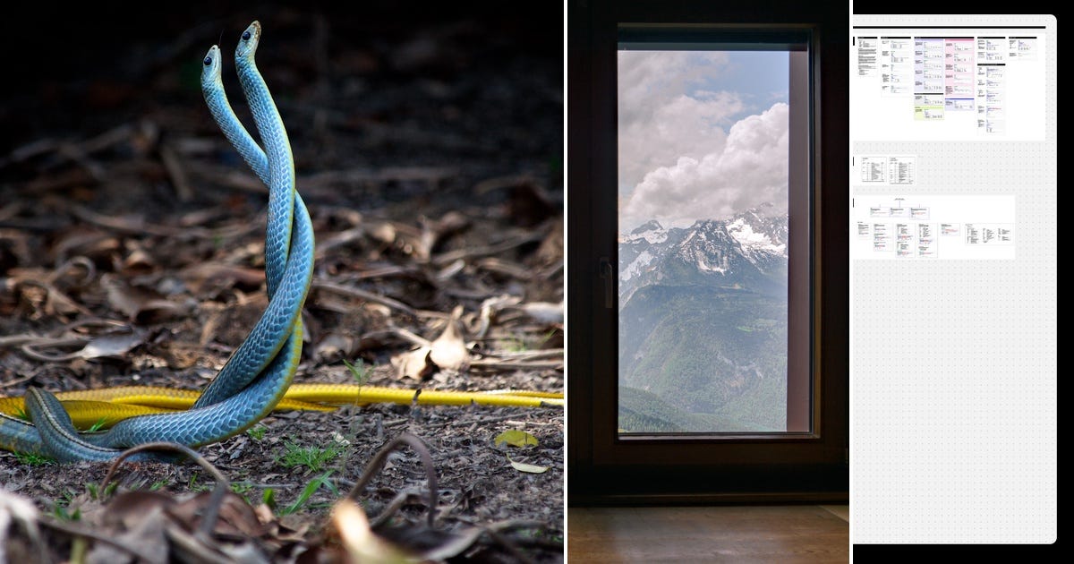 List: Cheatsheets | Curated by Harry Priima | Medium