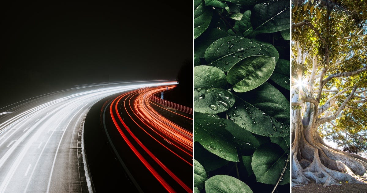 List: Nature | Curated by Peace Ogunjemilua | Medium