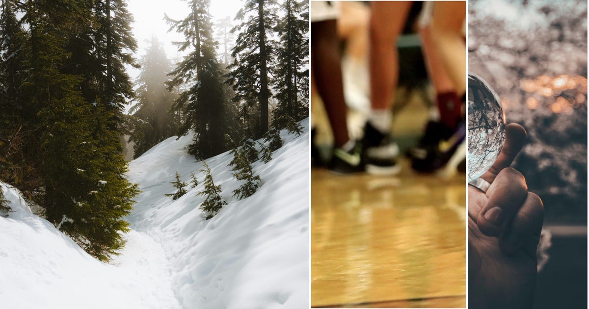 List: Sensitive Reflections | Curated by Tamara Low | Medium