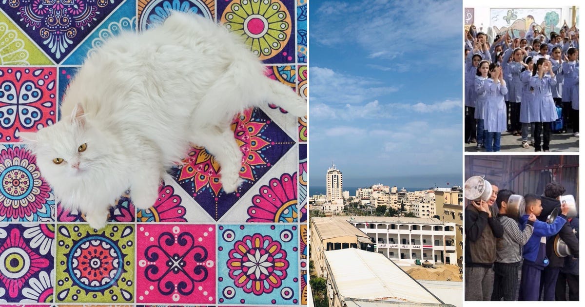 List: Reading list | Curated by Dalia Mohisen | Medium