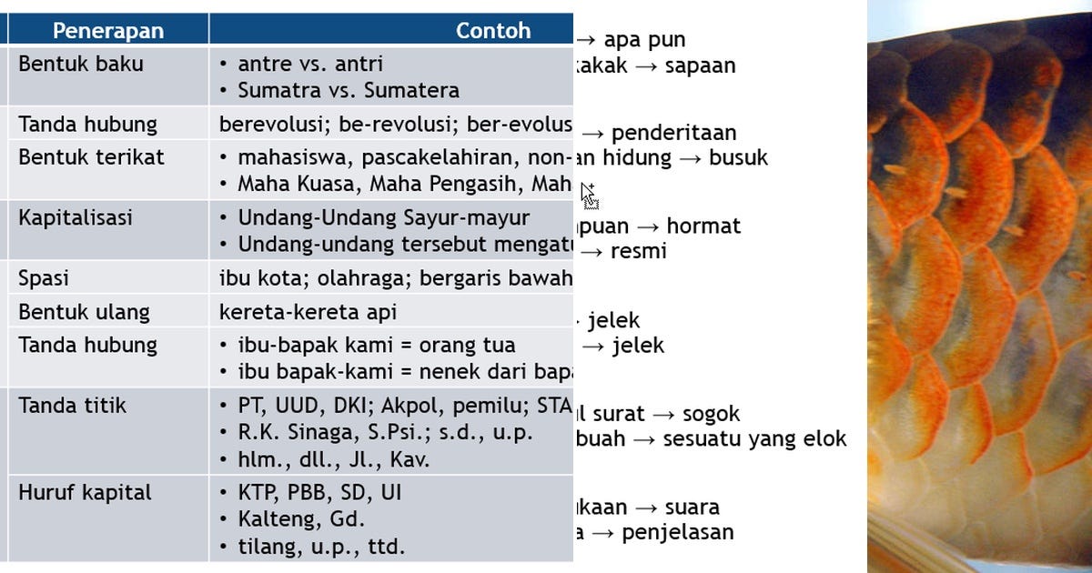 List: Kata | Curated by Khoirryah Nazilla | Medium