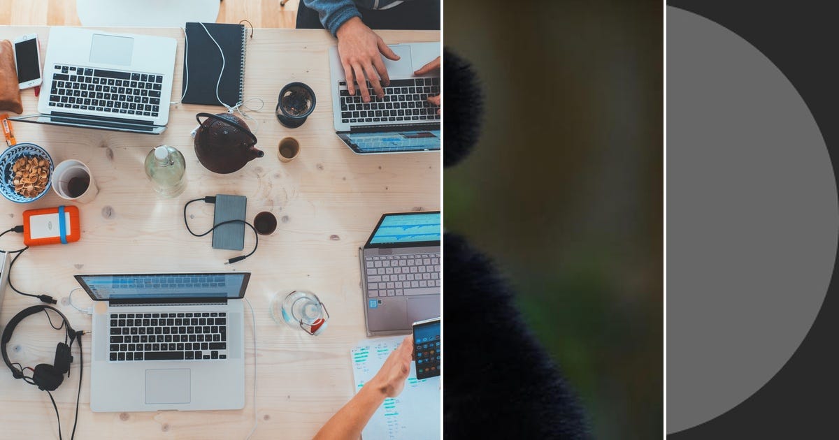 List: Exploratory Data Analysis | Curated by Tzener | Medium