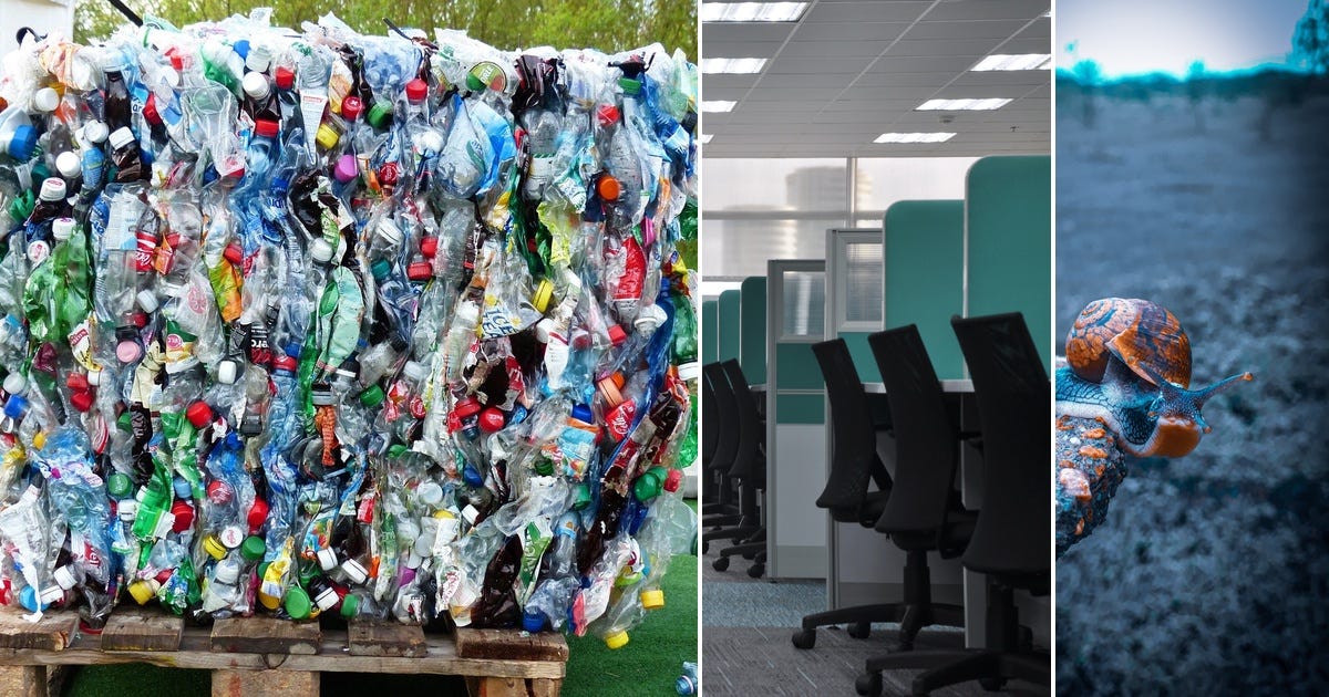 List: Safety & Health On All Scales | Curated by Abby Laporte | Medium