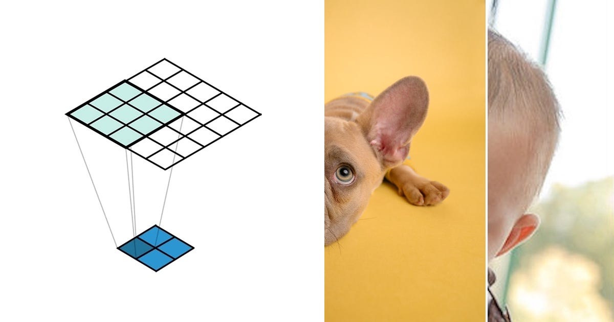 List: Great Algorithms | Curated by Yang Liu | Medium