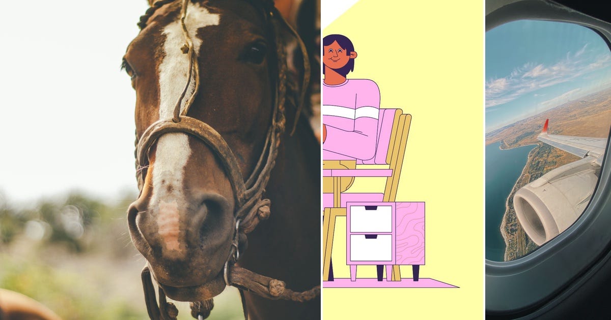 List: Easy money | Curated by Kartikay | Medium