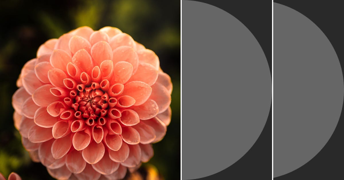 List: Dahlia HLS | Curated by Nimalan | Medium