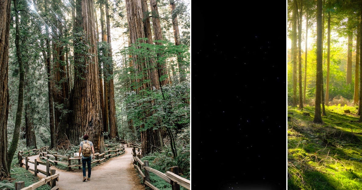 List: Algorithms explained | Curated by Ellen Hirt | Medium