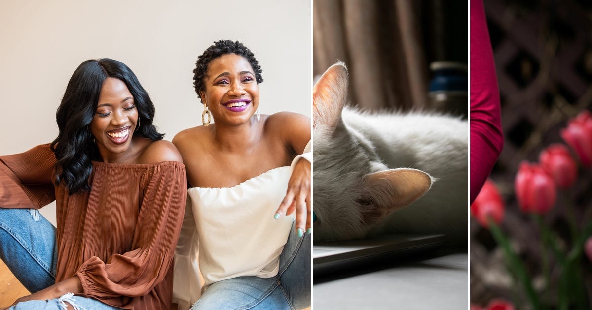 List: Great For a Giggle | Curated by Jen Lynn | Medium