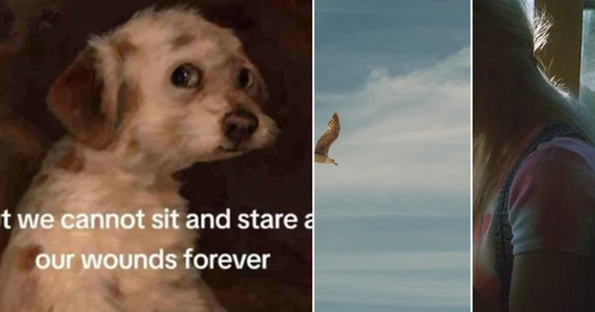 List: heal | Curated by Shane Claire | Medium