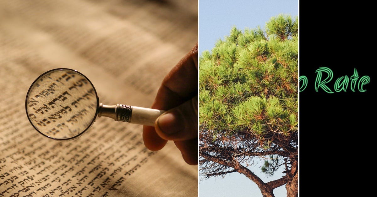 List: Recon Advanced Methods | Curated by Cyber World | Medium