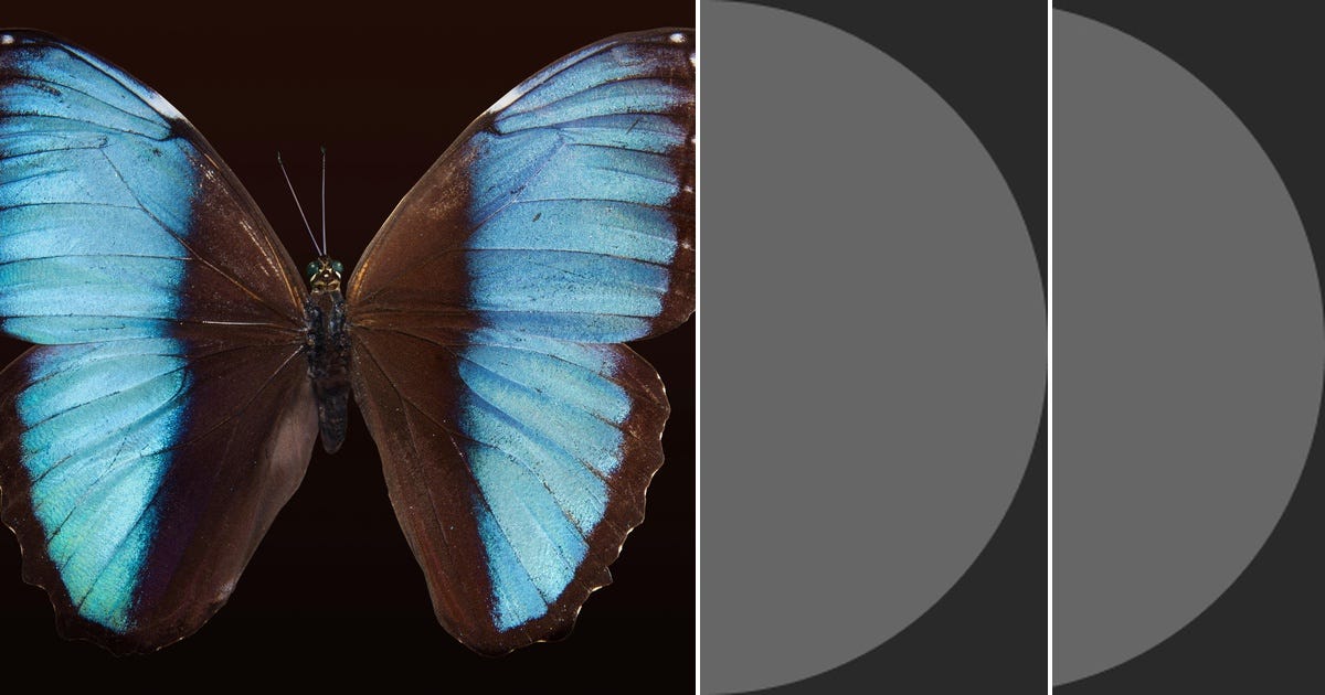 List: Automate | Curated by Jean Yee | Medium