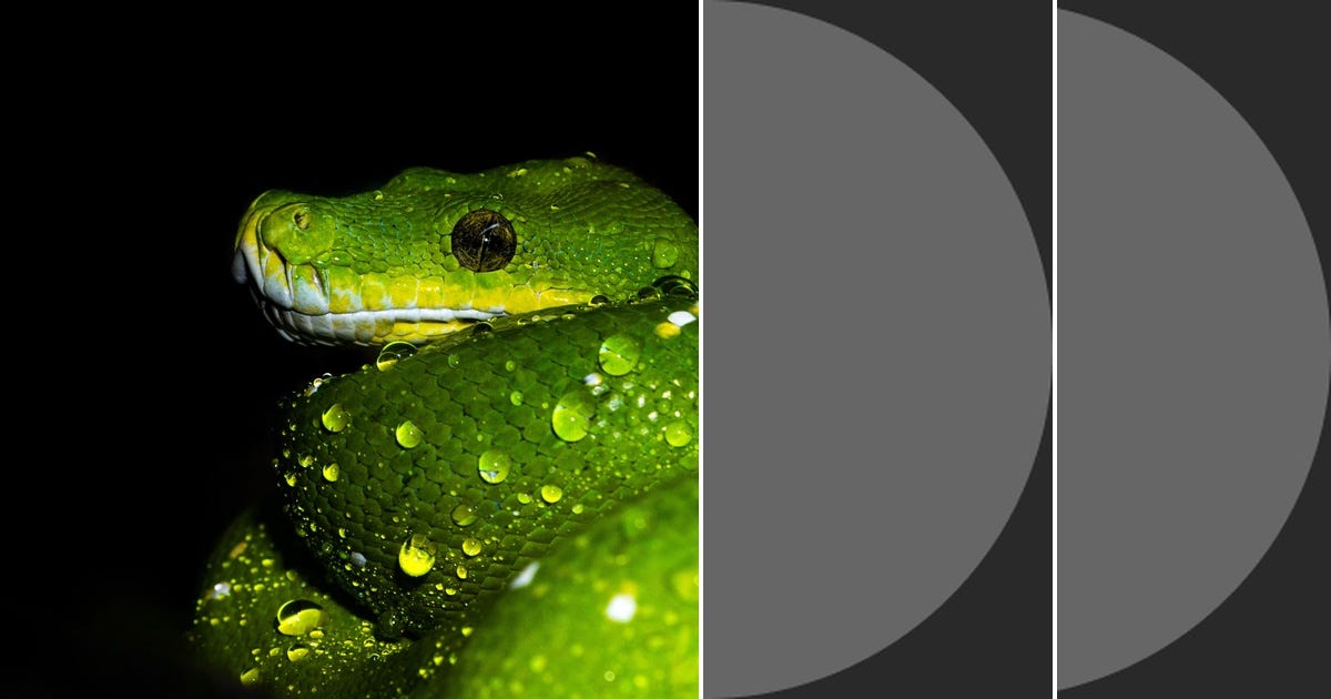 List: Python | Curated by Harry Burgers | Medium